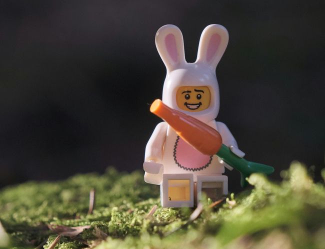 Hop into the Holidays with Easter LEGO® Sets | WeBuyBricks.co.uk